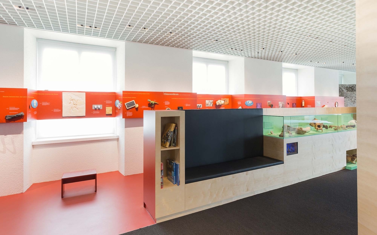 Ausstellung Naturmuseum Solothurn